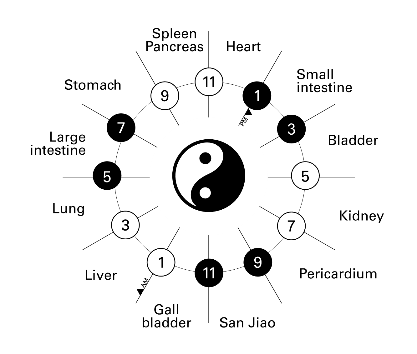 Gentle Release Therapy – Tayler Made Therapies